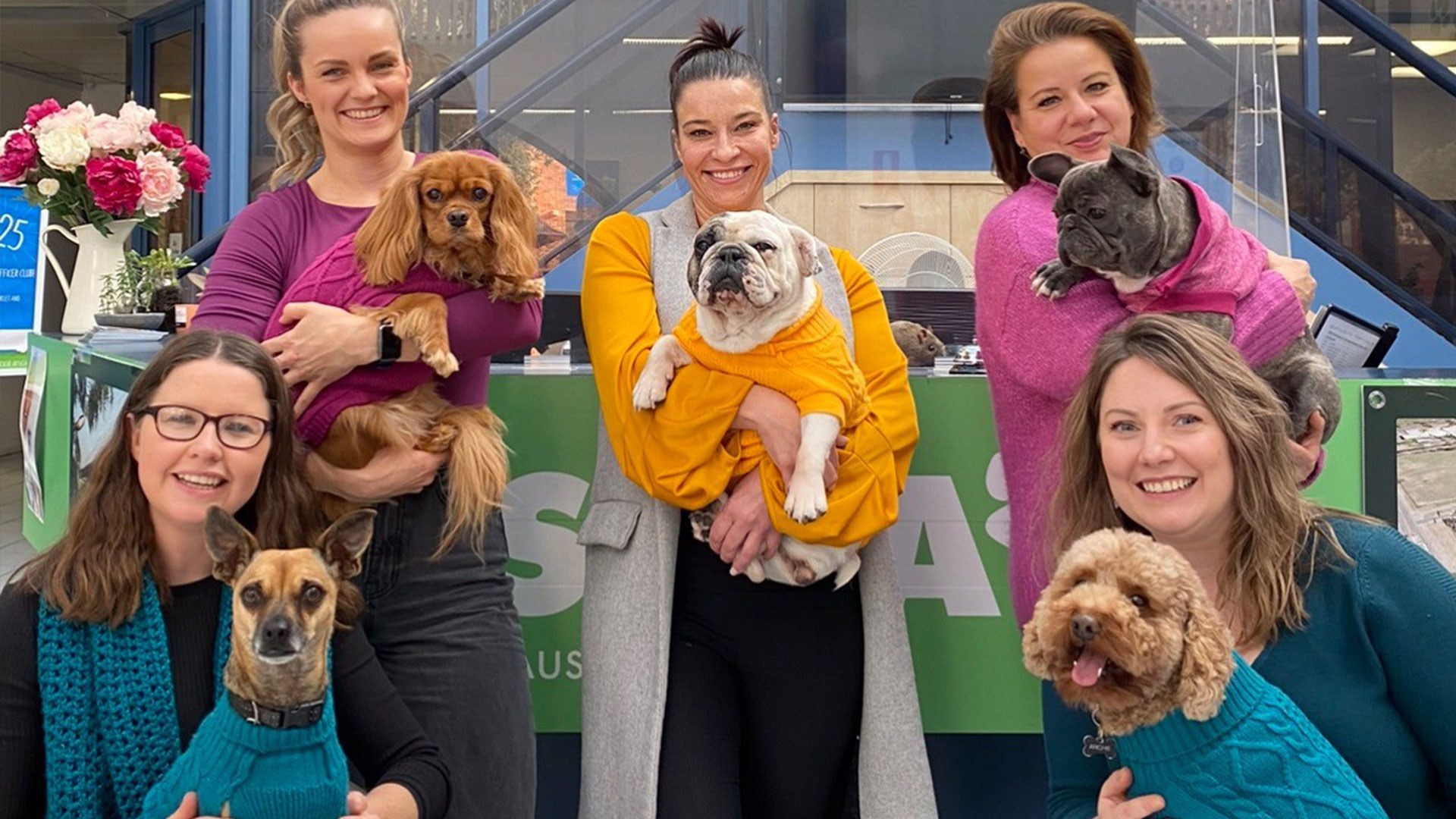 Will an office dog make your staff drop the ball? | The South ...