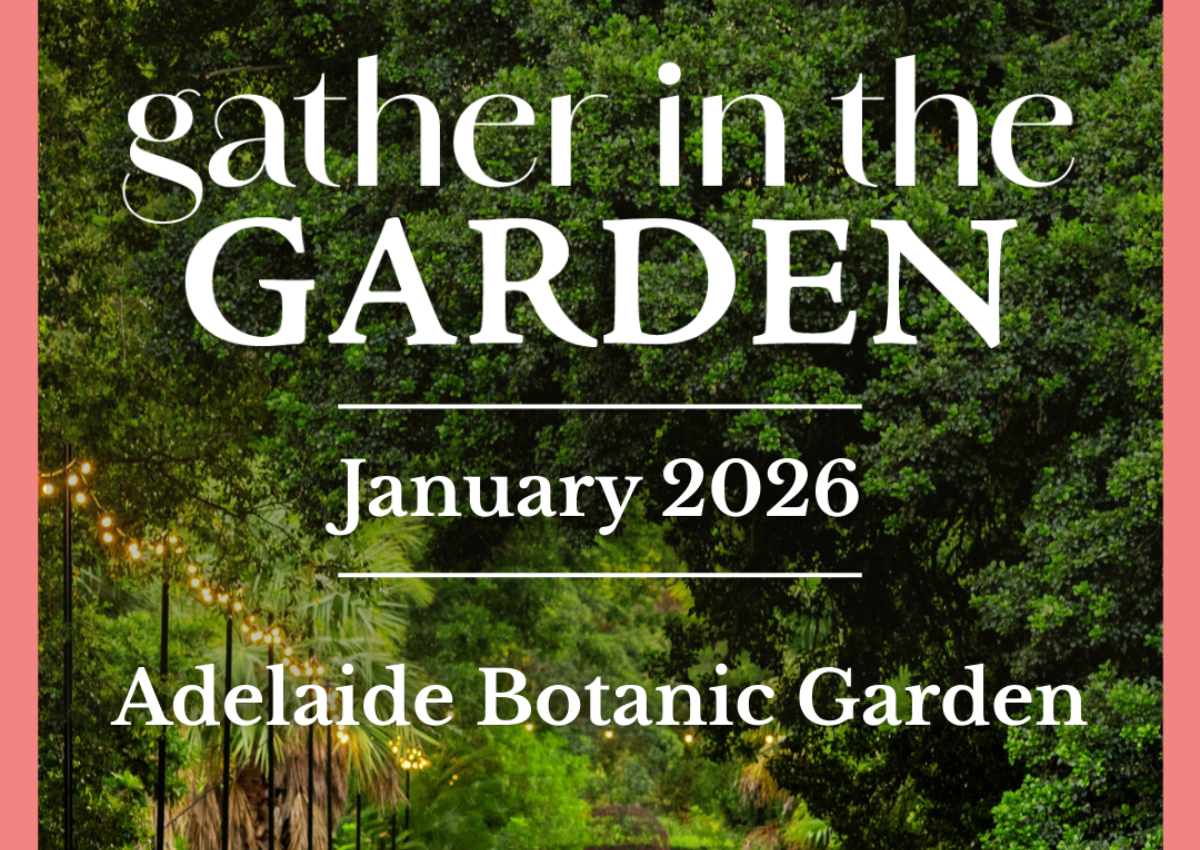 Extended RevenueSA Online outage for annual housekeeping | The South ...